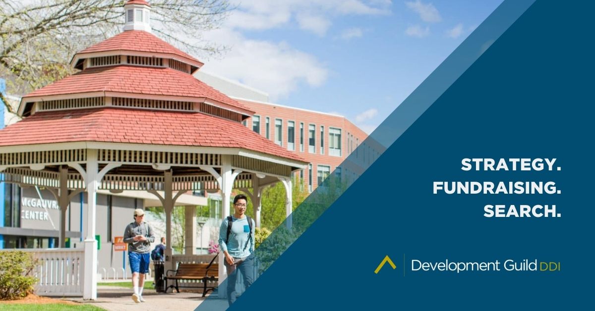 Nonprofit Fundraising Consulting | Development Guild DDI