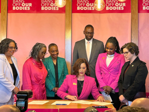 Pamela Goldstein joins National Council of Jewish Women | Development Guild