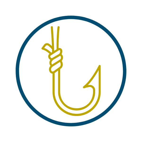 A Comprehensive Guide to Creating Your Personal and Professional Brand on LinkedIn | Development ...